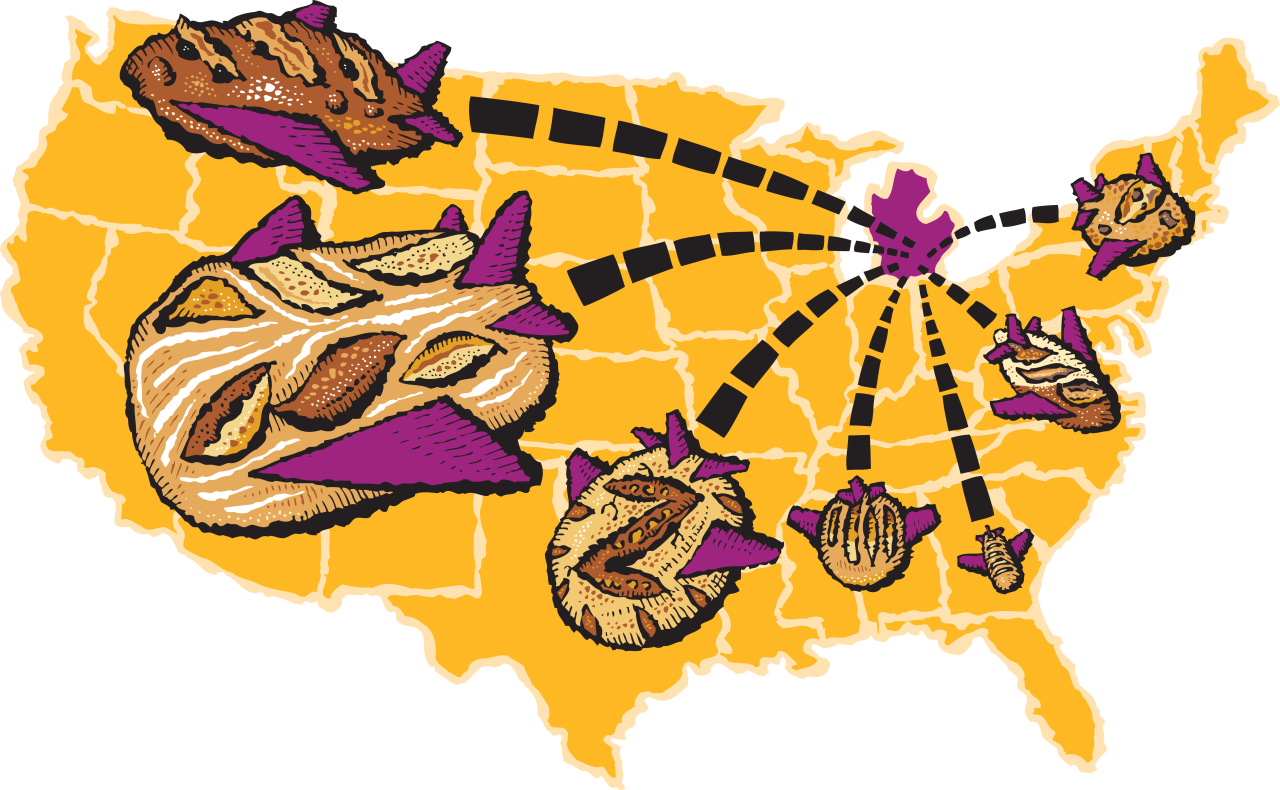 Bread of the Month Club for sale. Buy online at Zingerman's Mail Order ...