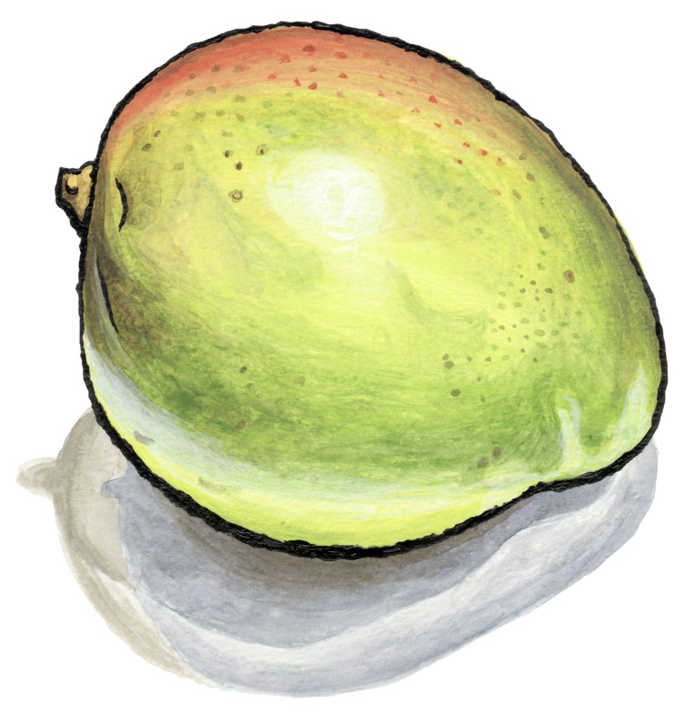 Dried Irwin Mango for sale. Buy online at Zingerman's Mail Order ...