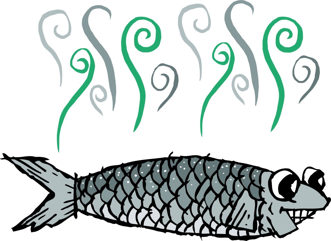 Smoked Sprats for sale. Buy online at Zingerman's Mail Order. Gourmet ...