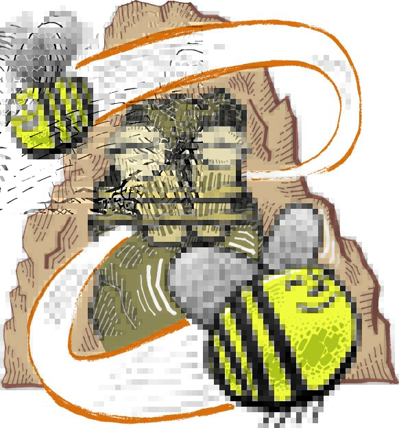 Jara Honey for sale. Buy online at Zingerman's Mail Order. Gourmet ...