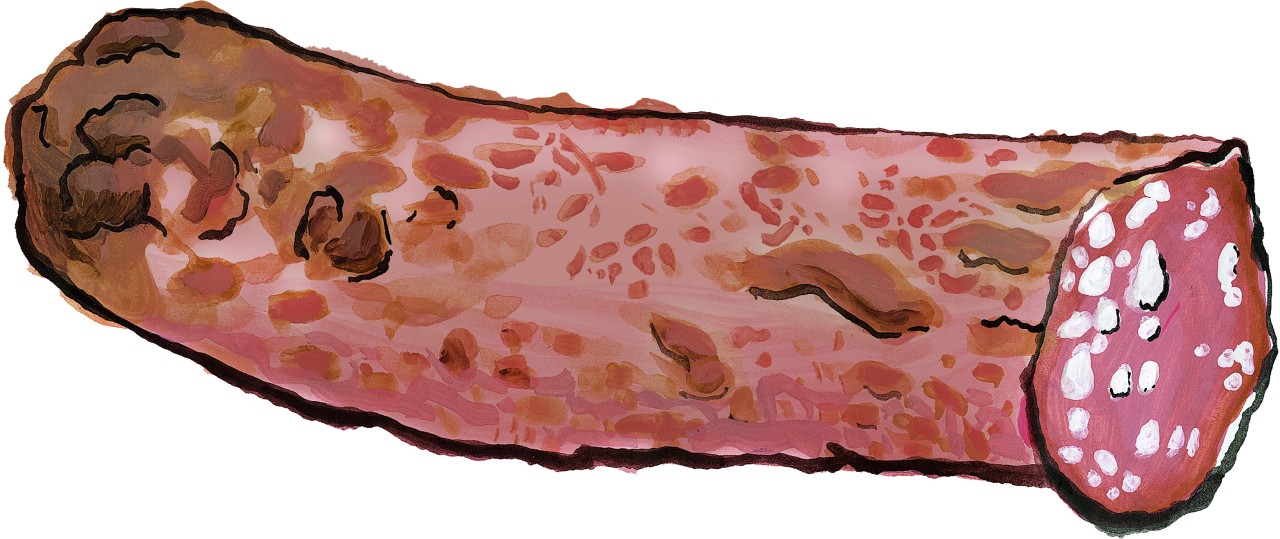 Loukanika Salami for sale. Buy online at Zingerman's Mail Order ...